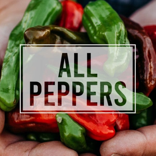 Heirloom Pepper Seeds - Thresh Seed Co.