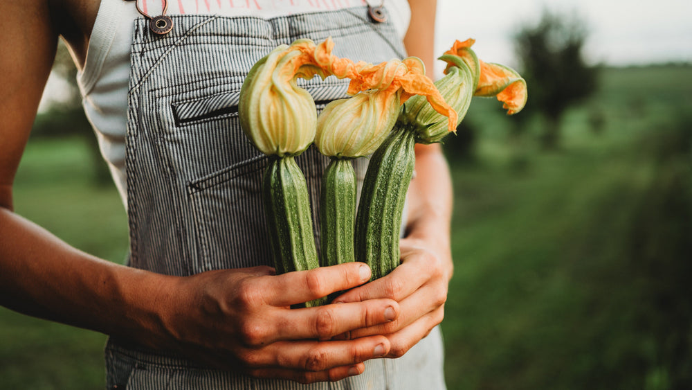 Thresh Seed Co. | Heirloom Garden Seeds
