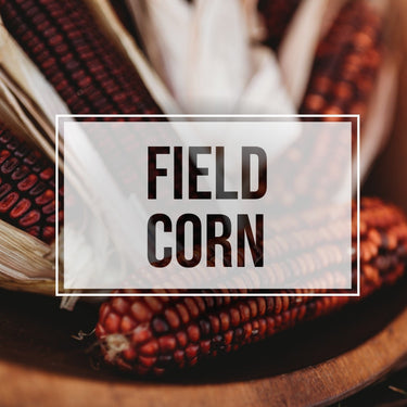 Heirloom Corn Seeds - Thresh Seed Co.