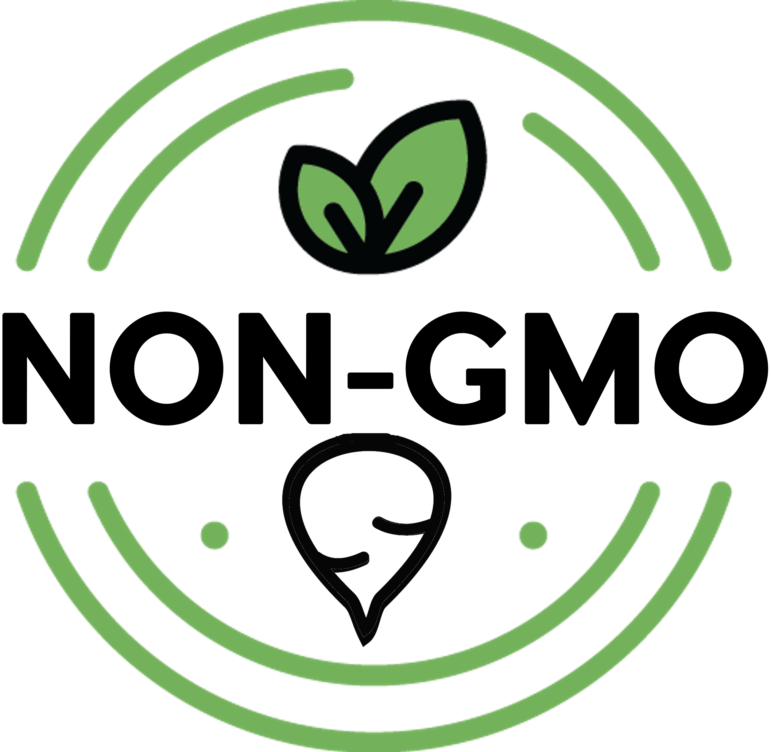 Seneca Red Stalker Corn Seeds - Thresh Seed Co.