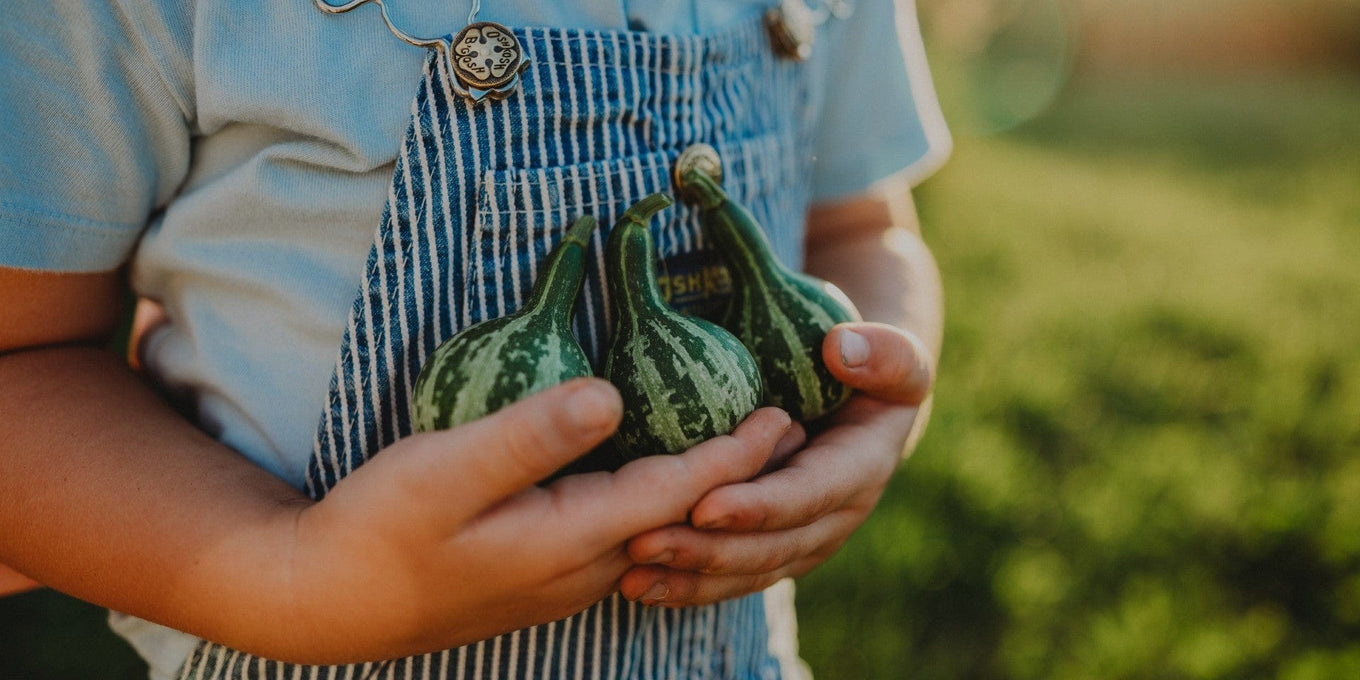 Thresh Seed Co. | Heirloom Garden Seeds