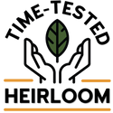 Pennsylvania Dutch Crookneck Squash - Thresh Seed Co.