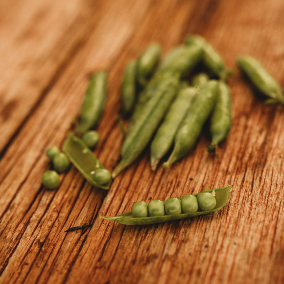Early Alaska Pea - Thresh Seed Co.
