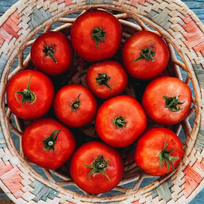 Eva Purple Ball Tomato - Thresh Seed Co.
