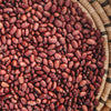 Hidatsa Red Shelling Bean- Thresh Seed Co.