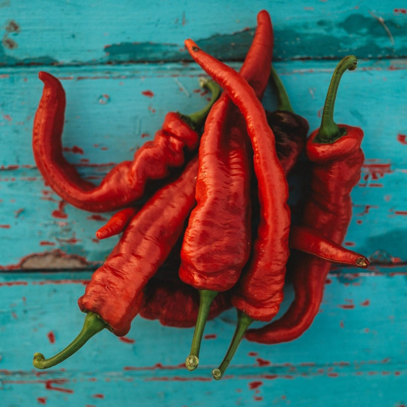 Italian Heirloom Seeds - Thresh Seed Co.