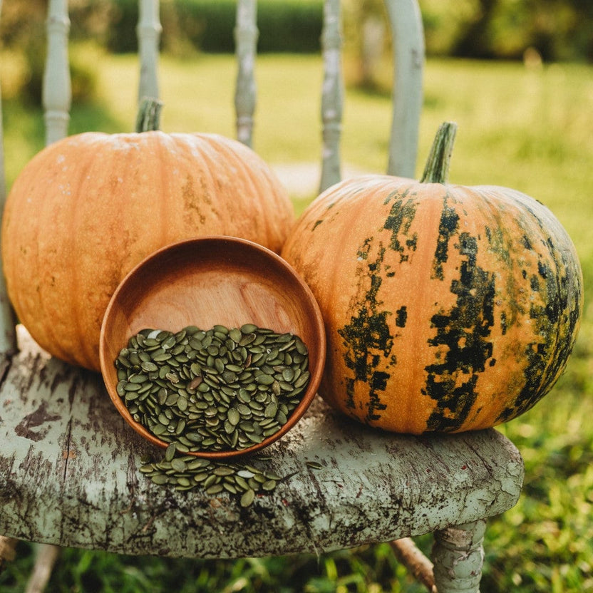 Kakai Hulless Oilseed Pumpkin - Thresh Seed Co.