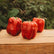 Keystone Resistant Giant Bell Pepper - Thresh Seed Co.