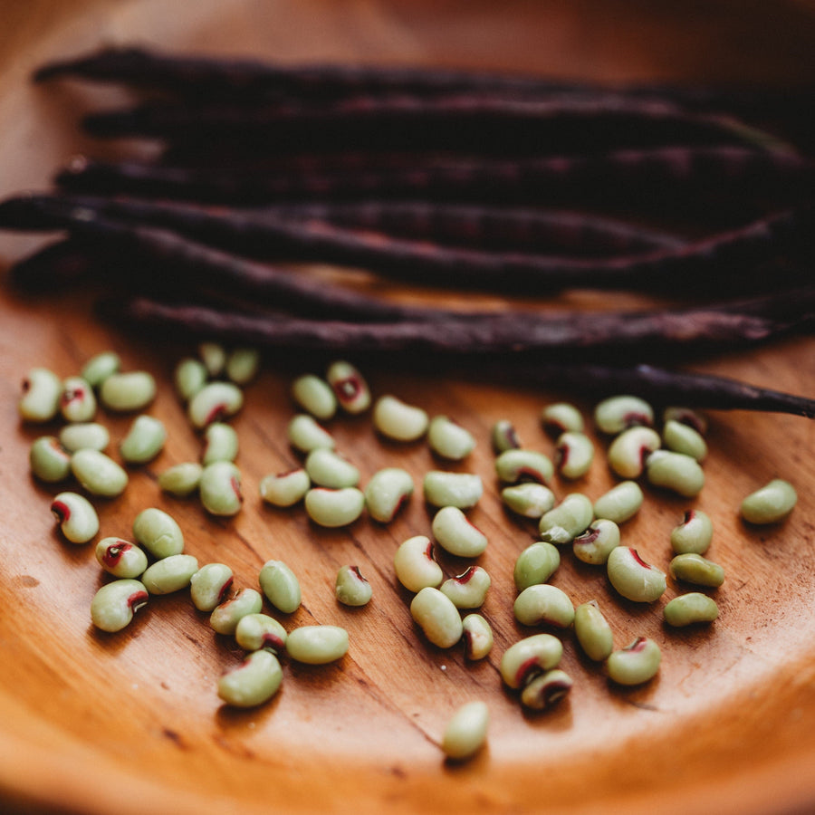 Heirloom Cowpea/ Southern Pea Seeds - Thresh Seed Co.