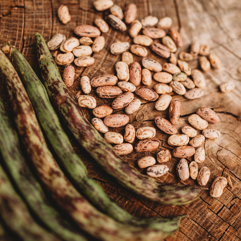 Rattlesnake Bean - Thresh Seed Co.