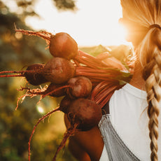 Winfield Pole Lima Bean - Thresh Seed Co.