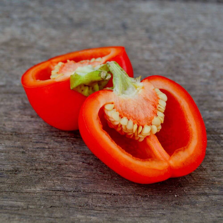 Alma Paprika Pepper Seeds - Thresh Seed Co.