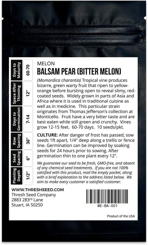 Balsam Pear (Bitter Melon) - Thresh Seed Co.