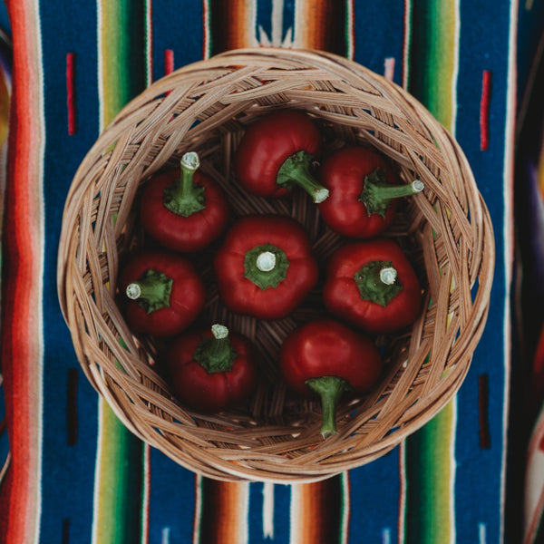 Cascabel Chile Pepper – Thresh Seed Co.