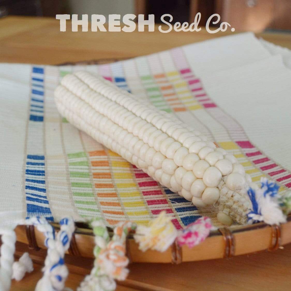 Cherokee Flour Corn - Thresh Seed Co.