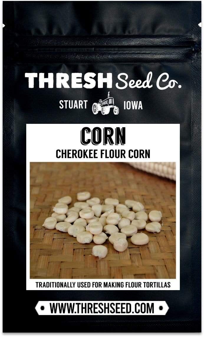Cherokee Flour Corn - Thresh Seed Co.