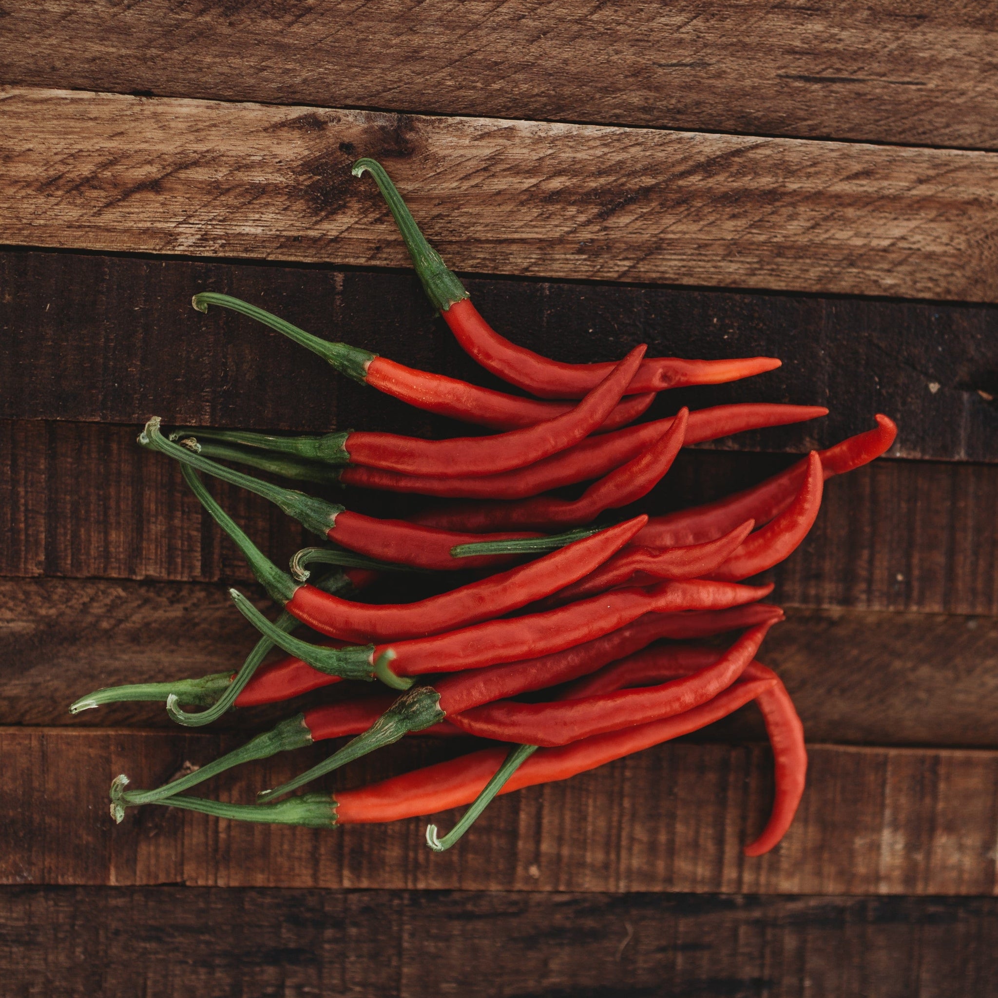 Chile de Arbol Mexican Chile Pepper - Thresh Seed Co.