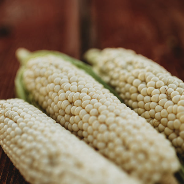 Sweet Corn - Thresh Seed Co.