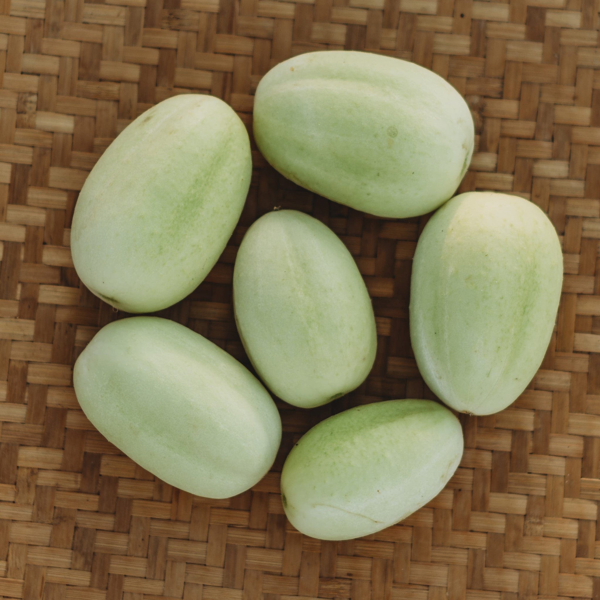 Dragon's Egg Cucumber - Thresh Seed Co.