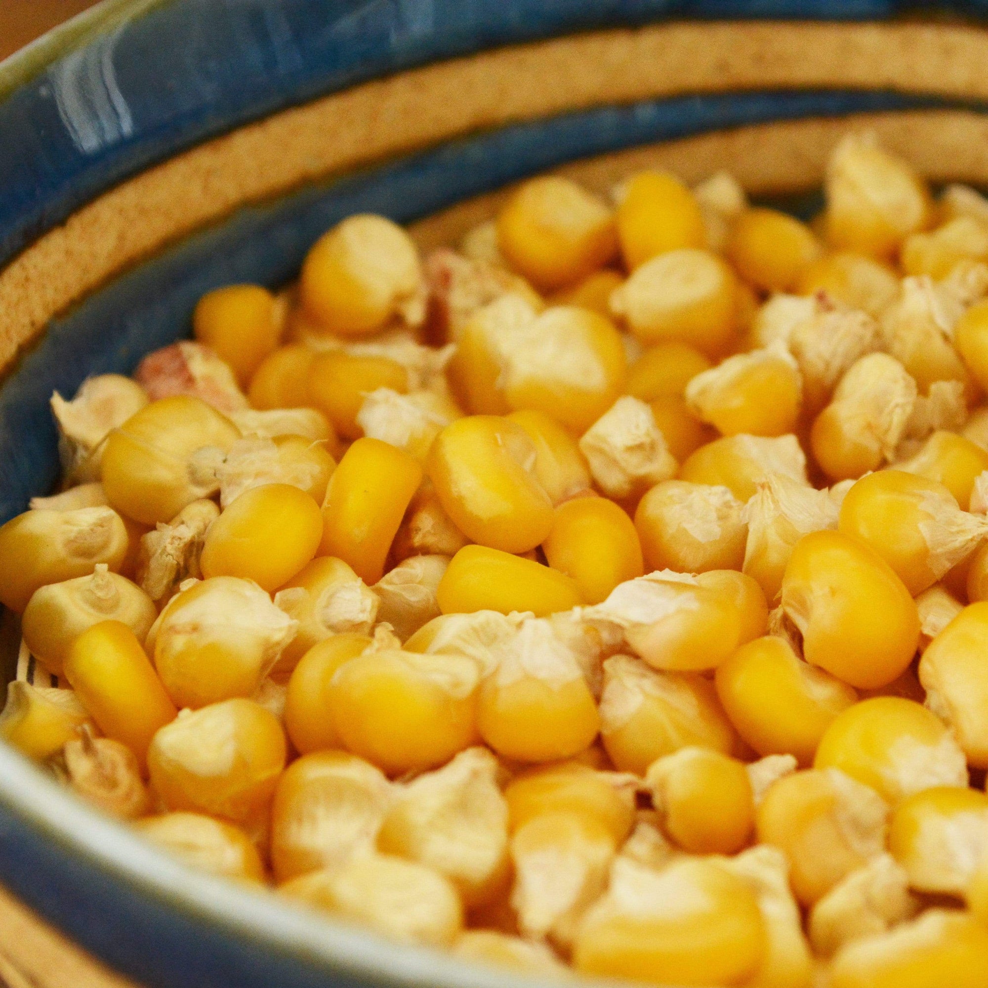 how to boil dry corn seeds