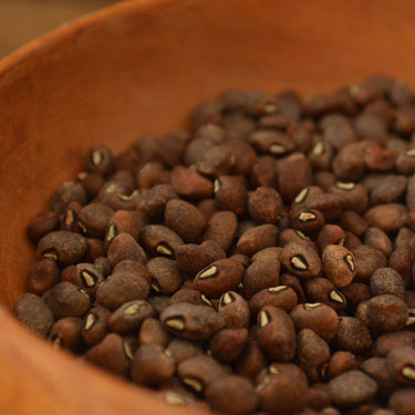 Heirloom Cowpea/ Southern Pea Seeds - Thresh Seed Co.