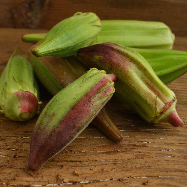 Hill Country Red Okra – Thresh Seed Co.
