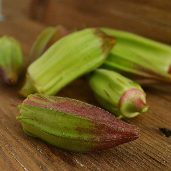 Hill Country Red Okra – Thresh Seed Co.
