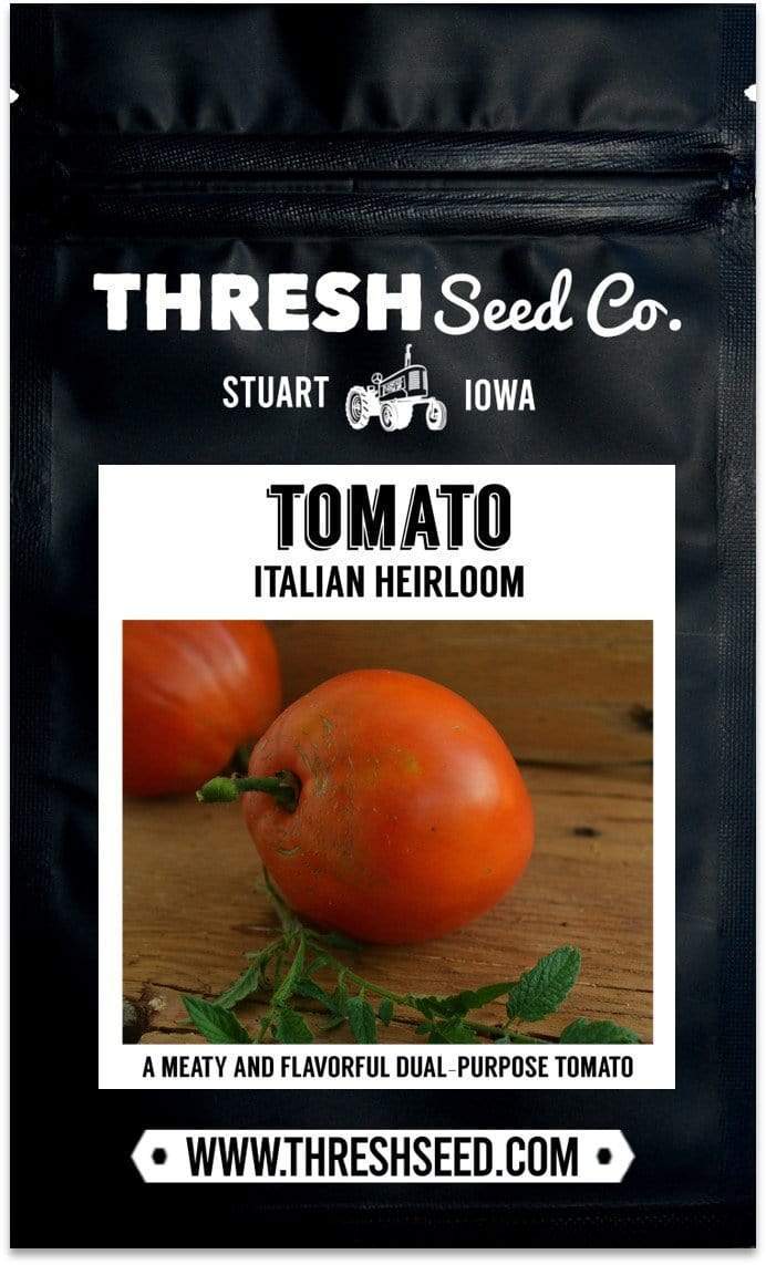 Italian Heirloom Tomato – Thresh Seed Co.