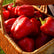 Keystone Resistant Giant Bell Pepper - Thresh Seed Co.