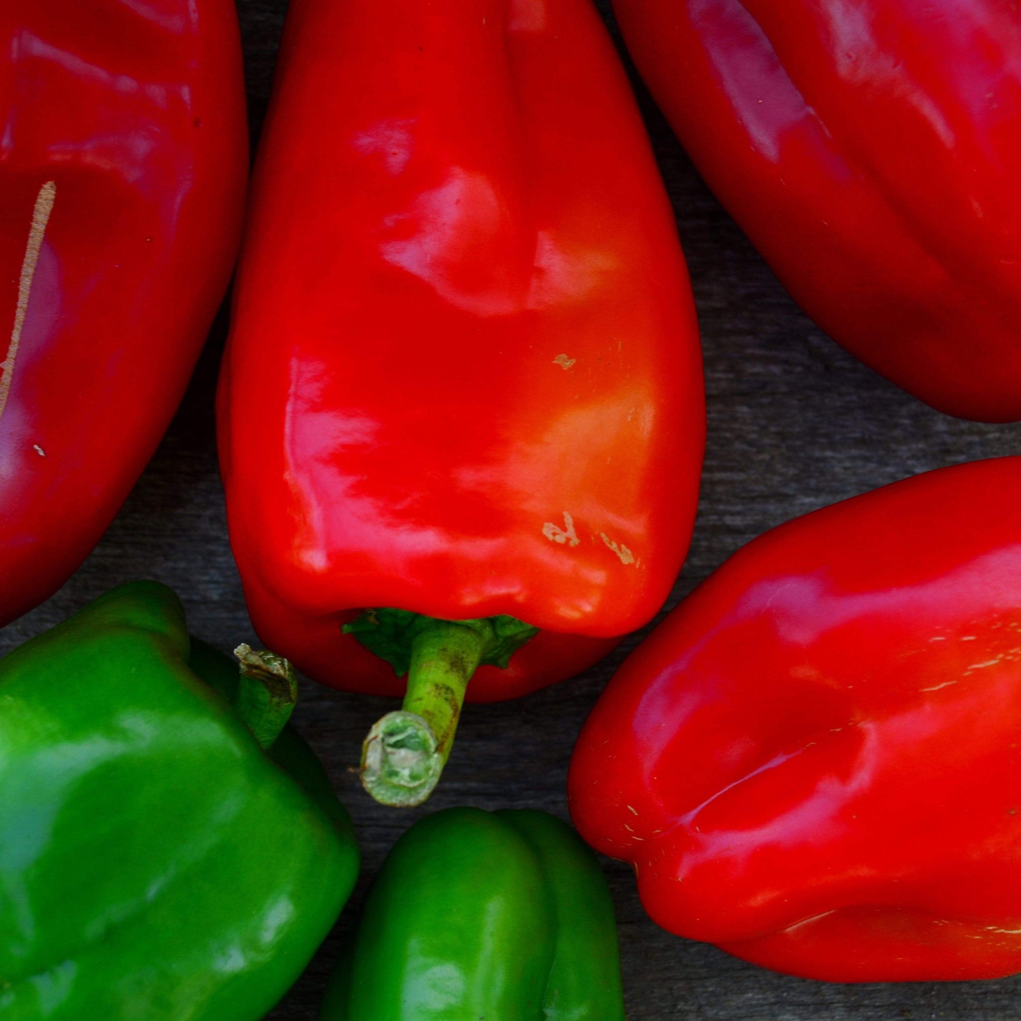 Napoleon Sweet Bell Pepper – Thresh Seed Co.