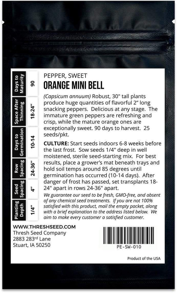 Orange Mini Bell Pepper - Thresh Seed Co.