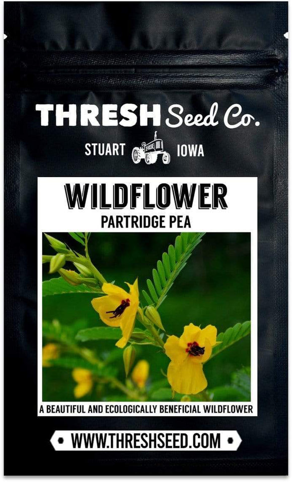 Partridge Pea - Thresh Seed Co.