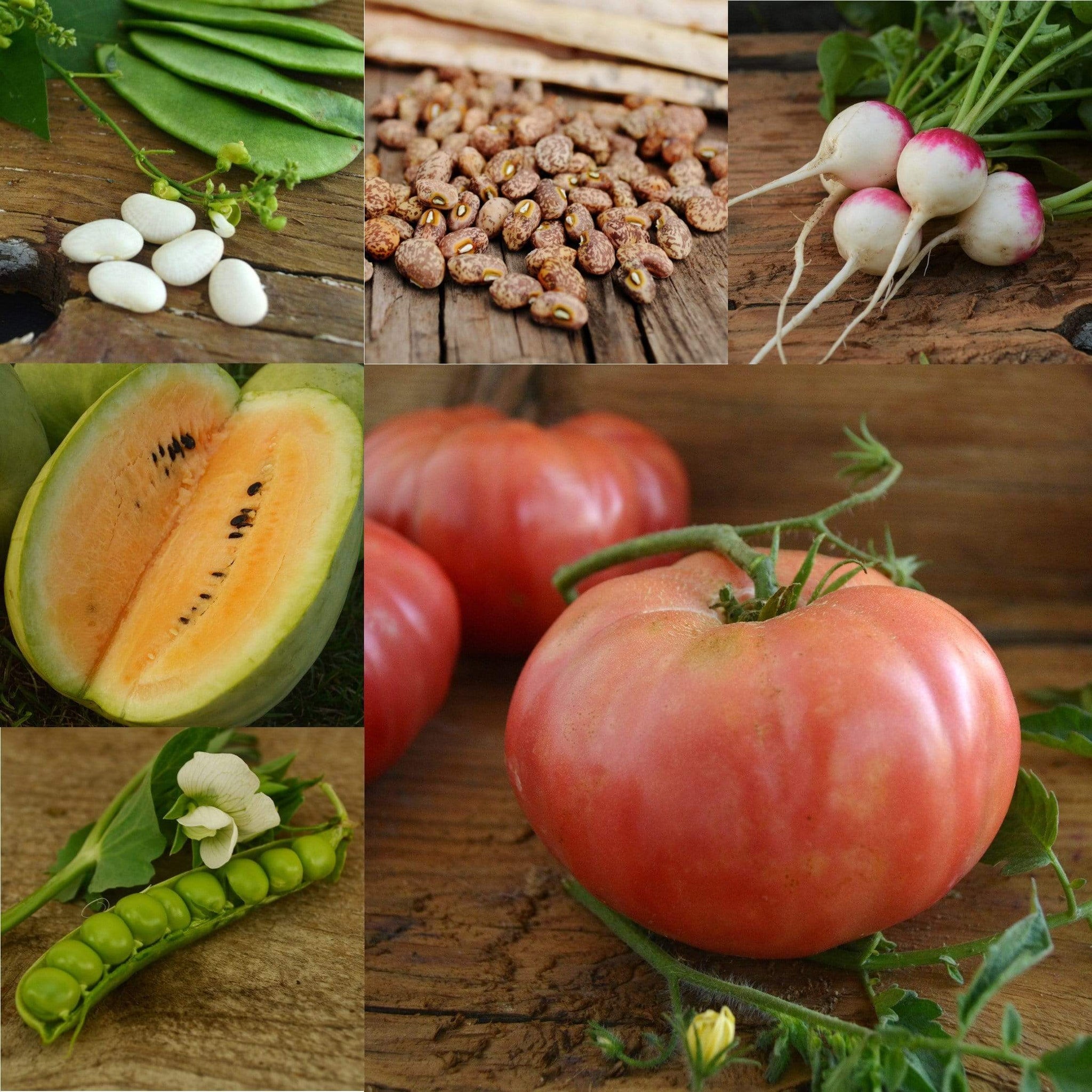 Rare Gems Seed Collection - Thresh Seed Co.