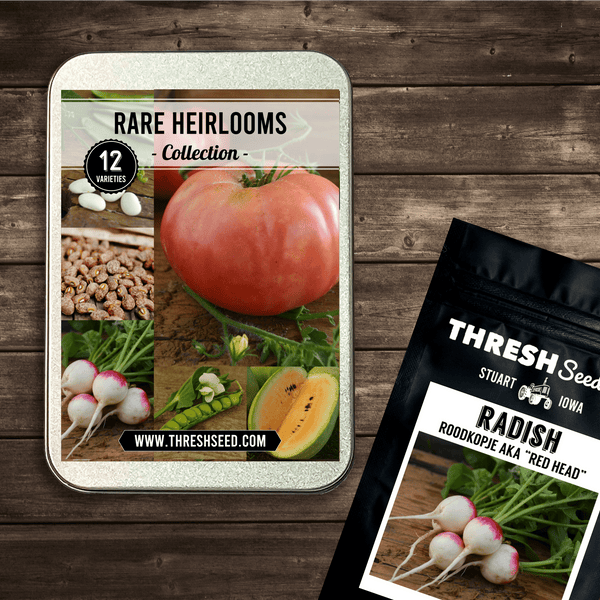 Rare Gems Seed Collection – Thresh Seed Co.