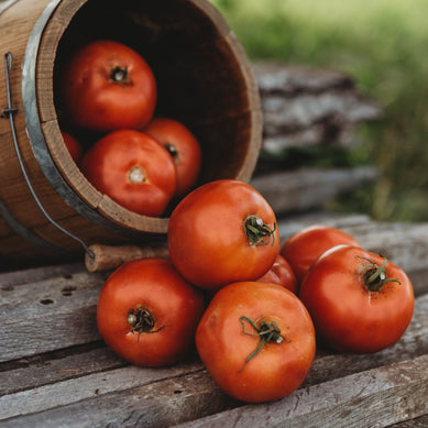 Rutgers Tomato - Thresh Seed Co.