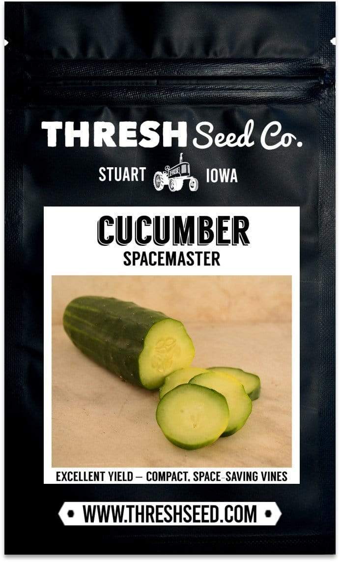 Spacemaster Cucumber - Thresh Seed Co.