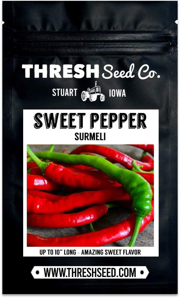 Surmeli Turkish Sweet Pepper Seeds - Thresh Seed Co.