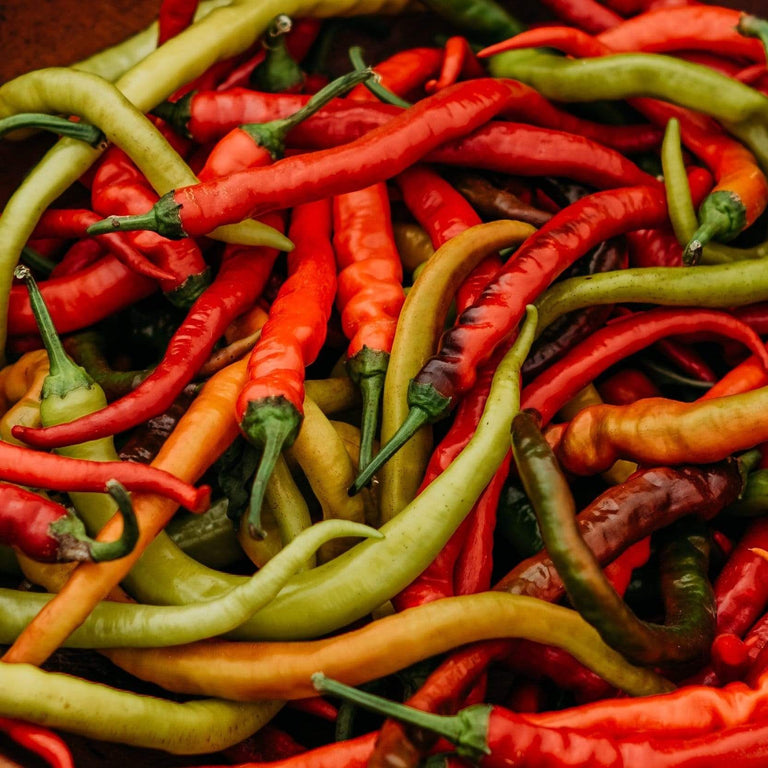 Italian Heirloom Seeds - Thresh Seed Co.