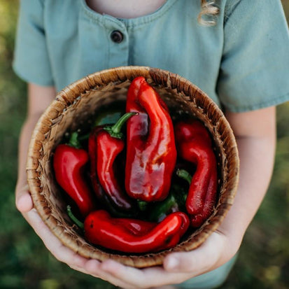 Italian Heirloom Seeds - Thresh Seed Co.